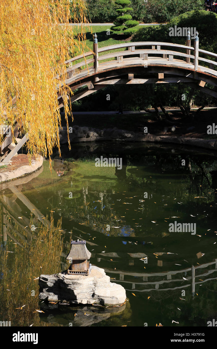 Moon Bridge in Japanese Garden at Huntington Library art collection and ...