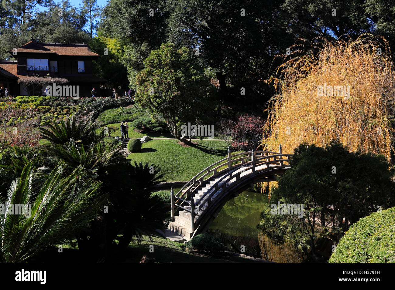 Moon Bridge in Japanese Garden at Huntington Library art collection and ...