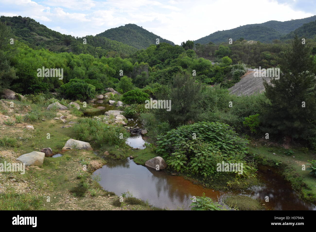 nature dry stream and mountain forest Stock Photo - Alamy