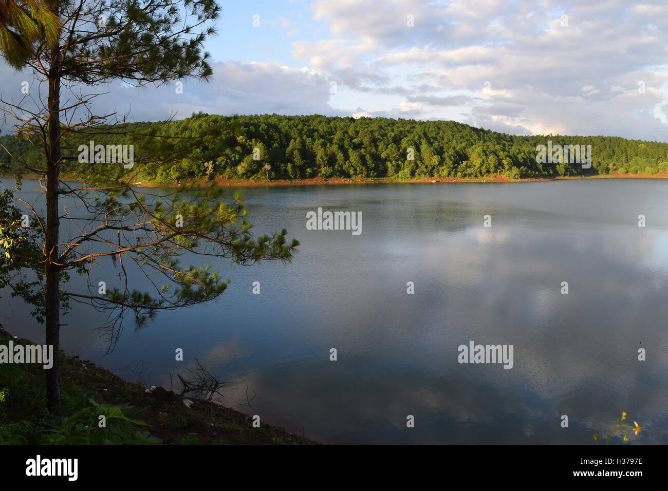 Pleiku hi-res stock photography and images - Alamy