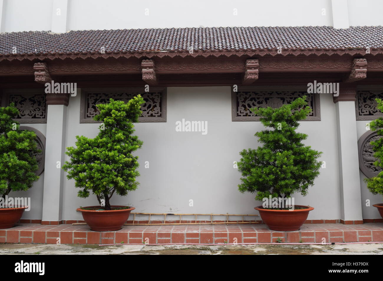 wall with roof and ornamental tree in temple in Ho Chi Minh city ...