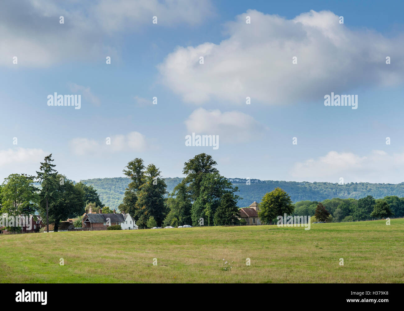 Burton Park Estate, Duncton, Petworth, West Sussex, UK Stock Photo - Alamy