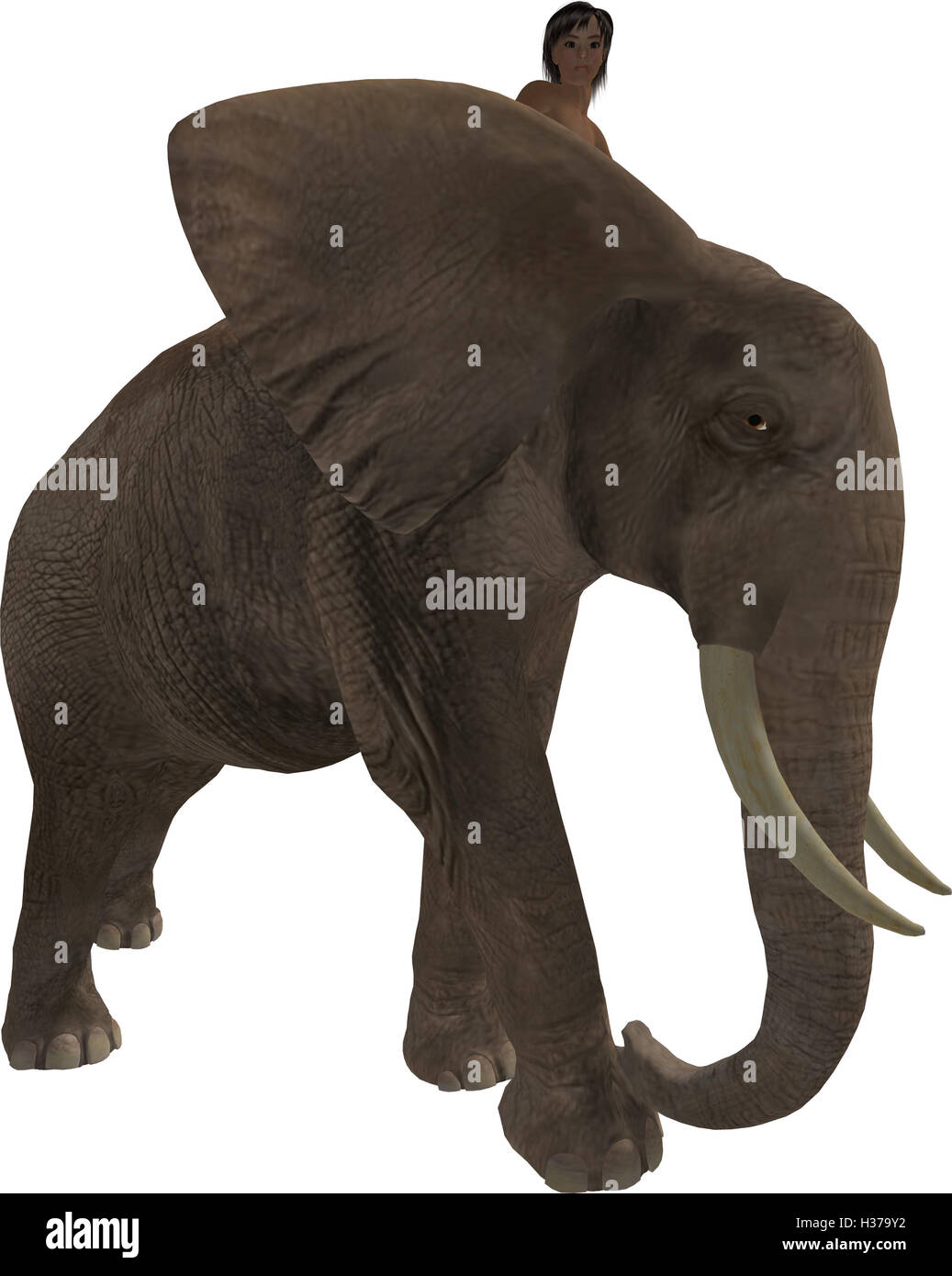 Proboscis of an elephant hi-res stock photography and images - Alamy