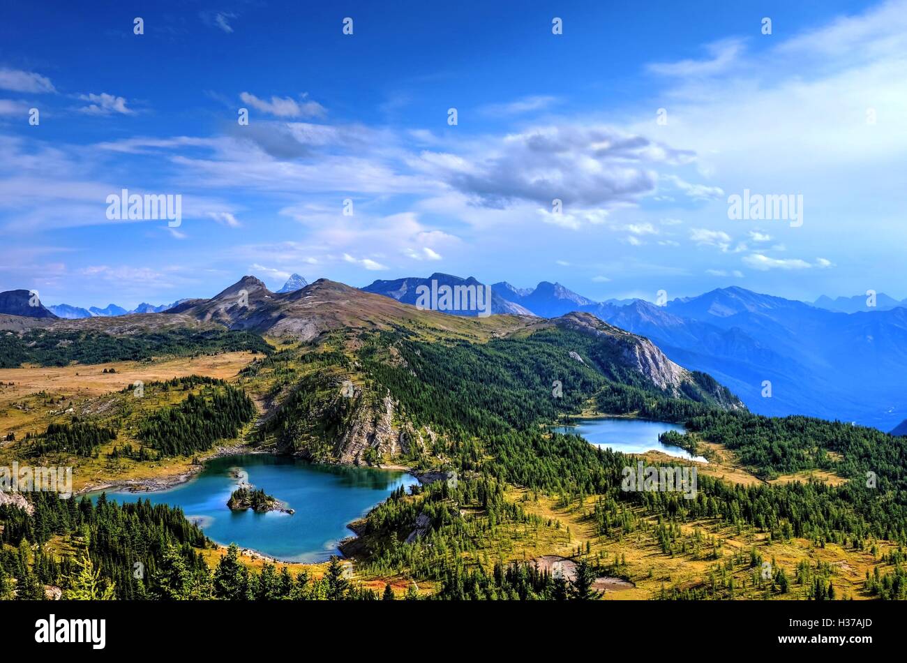 Sunshine Meadows in Banff National Park. Rocky Mountains. Alberta ...
