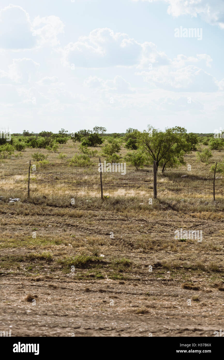Traveling to west texas hi-res stock photography and images - Alamy