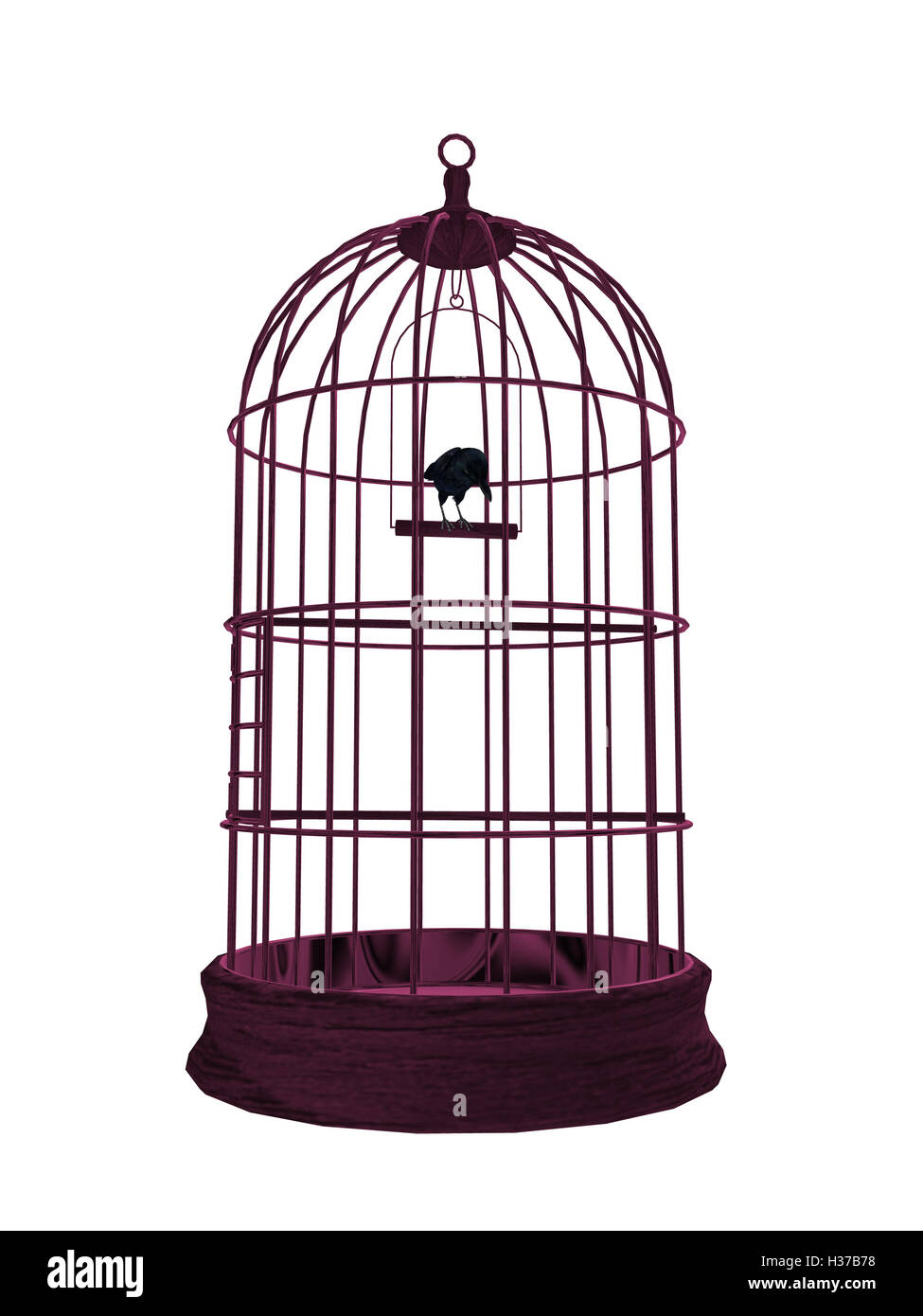 Corral bird hi-res stock photography and images - Alamy