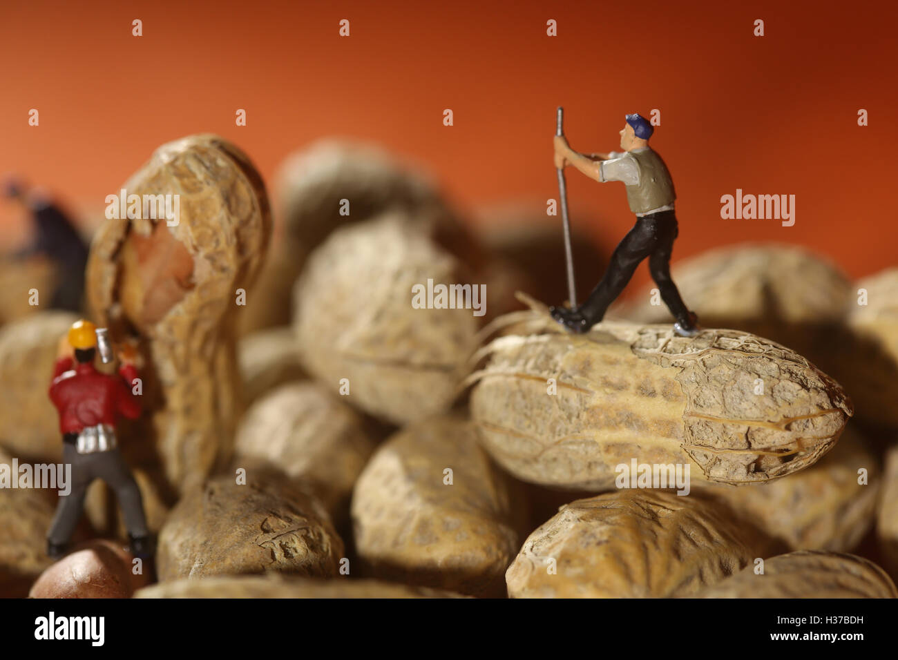 Fake peanuts hi-res stock photography and images - Alamy