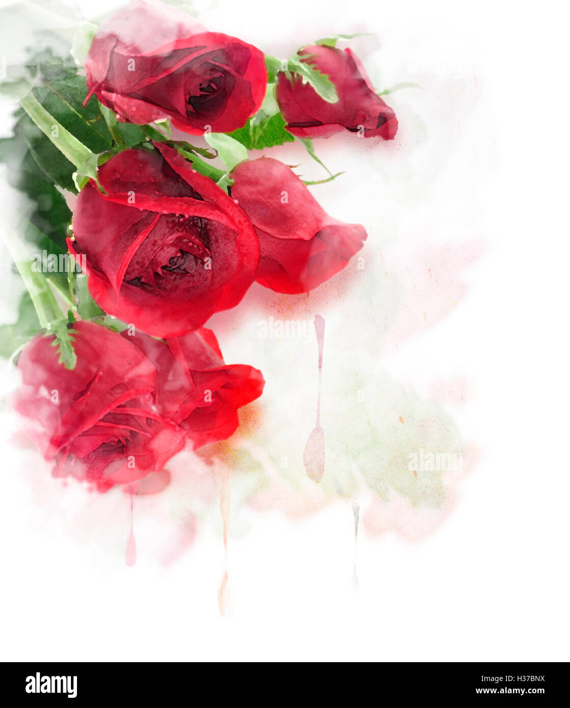 Red Roses Digital Painting Stock Photo - Alamy