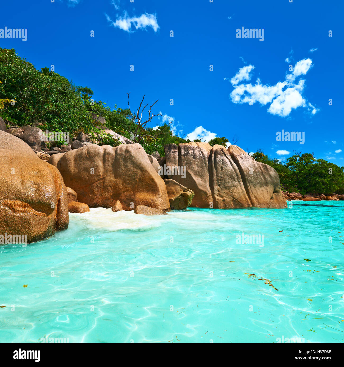 Beautiful beach at Seychelles Stock Photo - Alamy