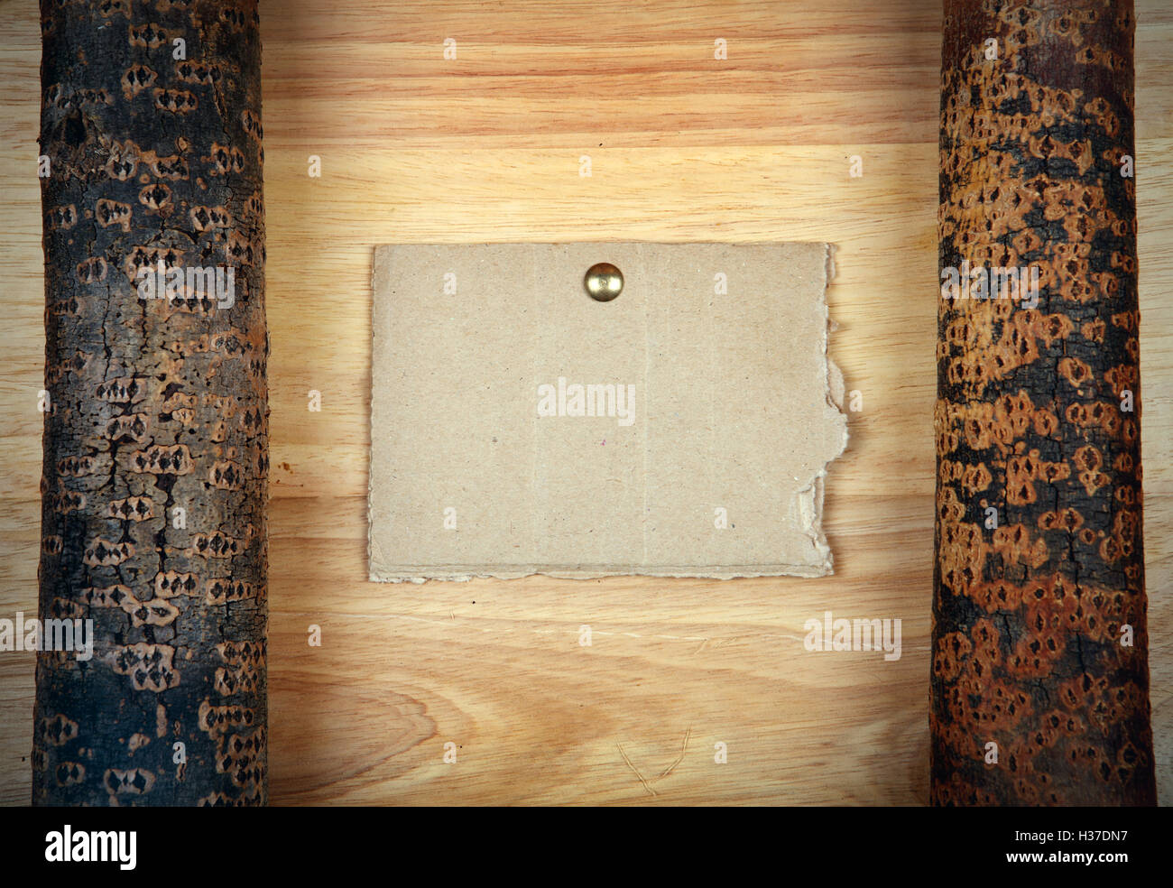 Wooden Notice Board Stock Photo - Alamy