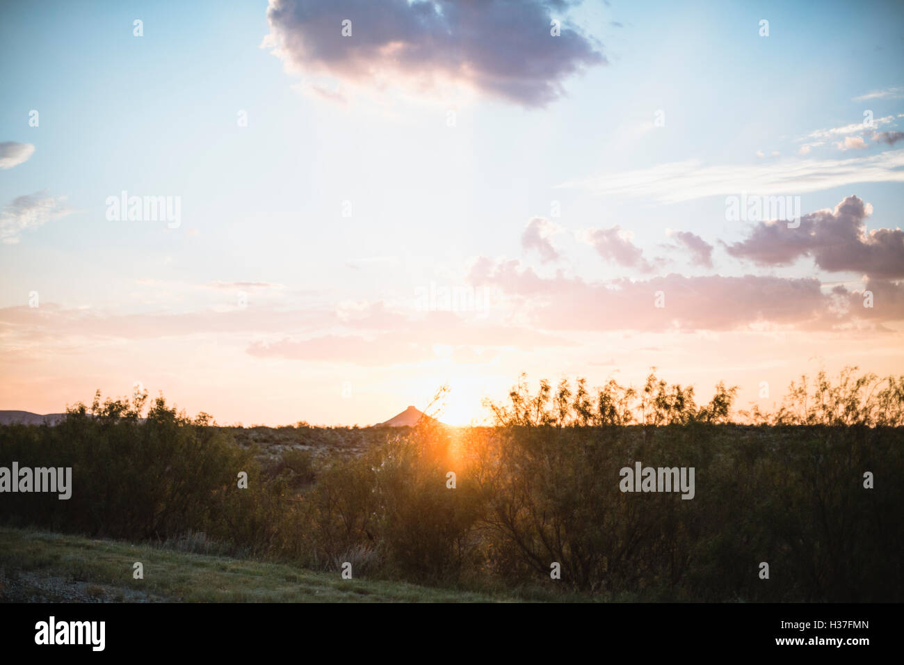 Texas countryside landscape from the road with the sunsetting be Stock ...