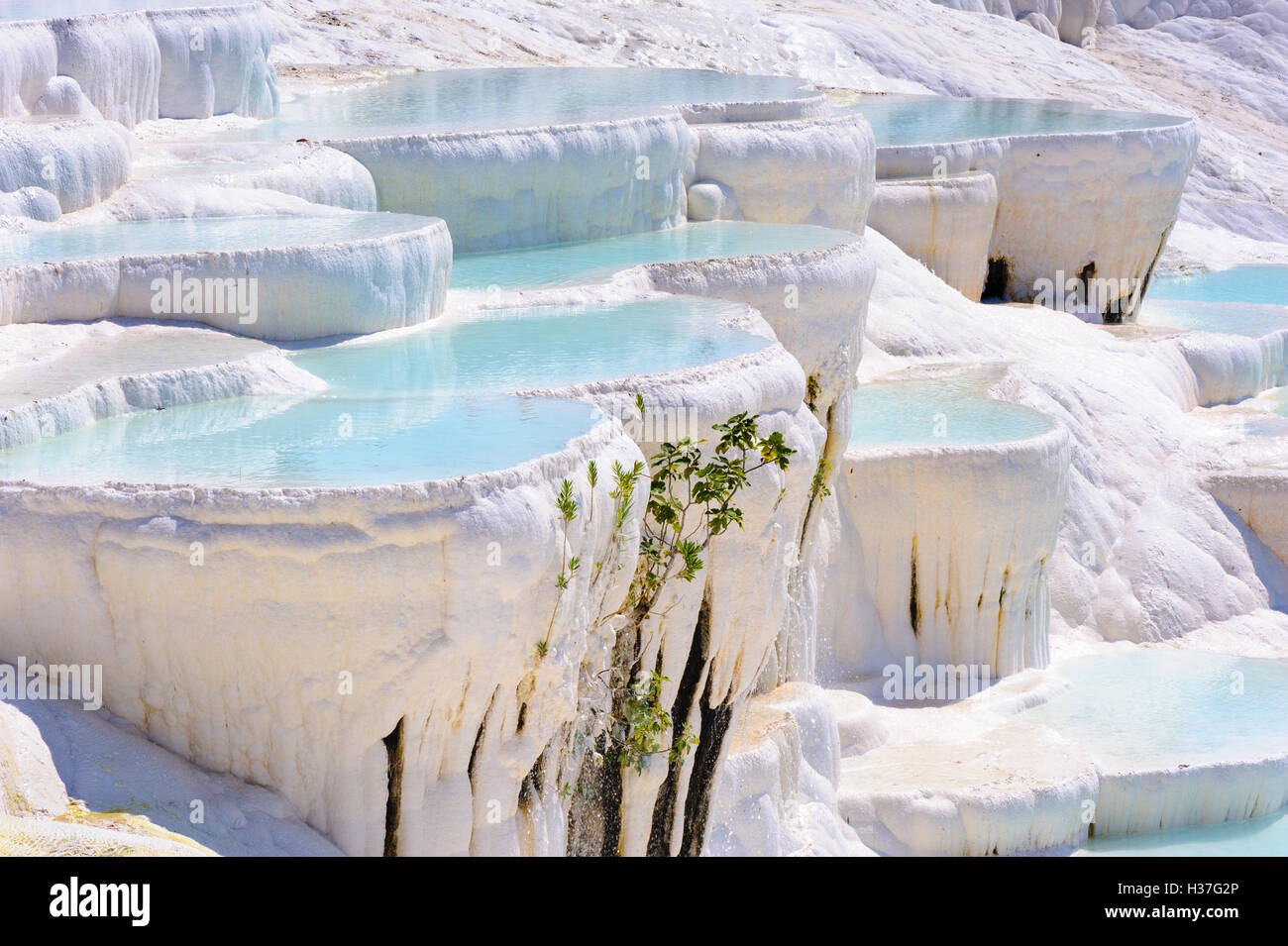 Blue water travertine pools at Pamukkale, Turkey Stock Photo - Alamy