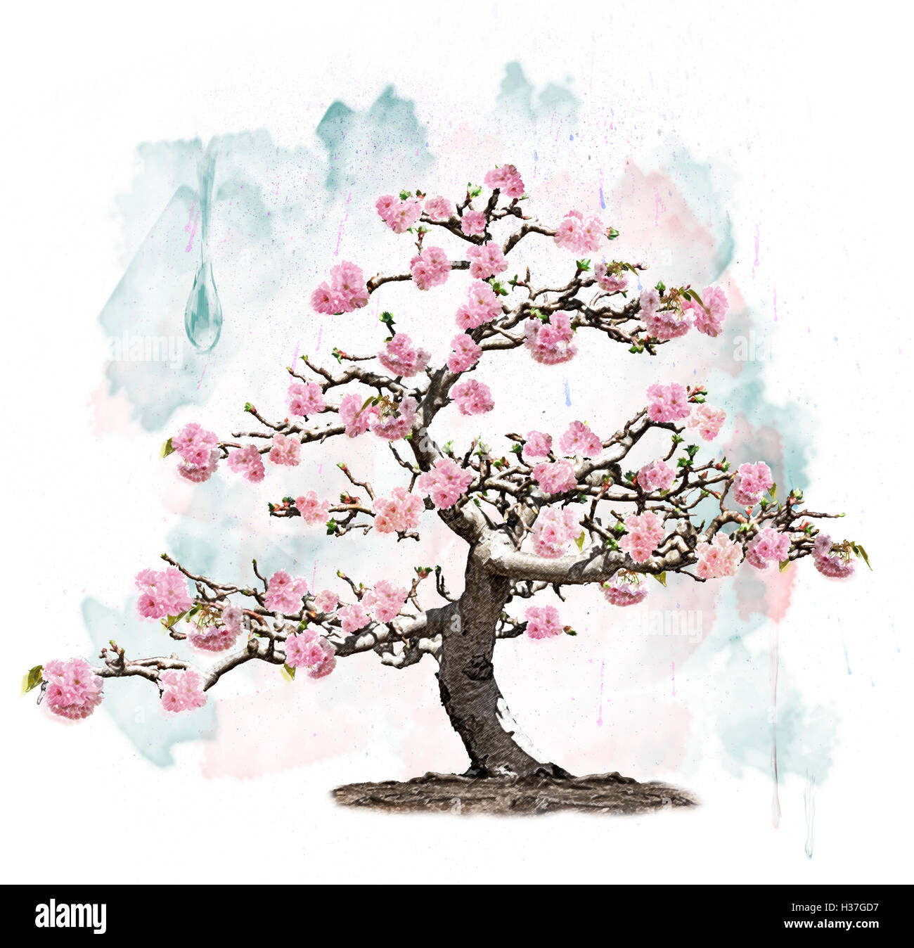 Tree not in bloom Cut Out Stock Images & Pictures - Alamy