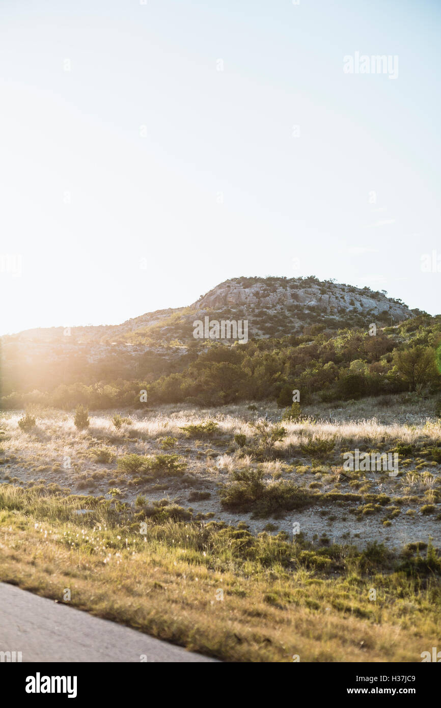 field of trees and hills in countryside Texas Stock Photo - Alamy