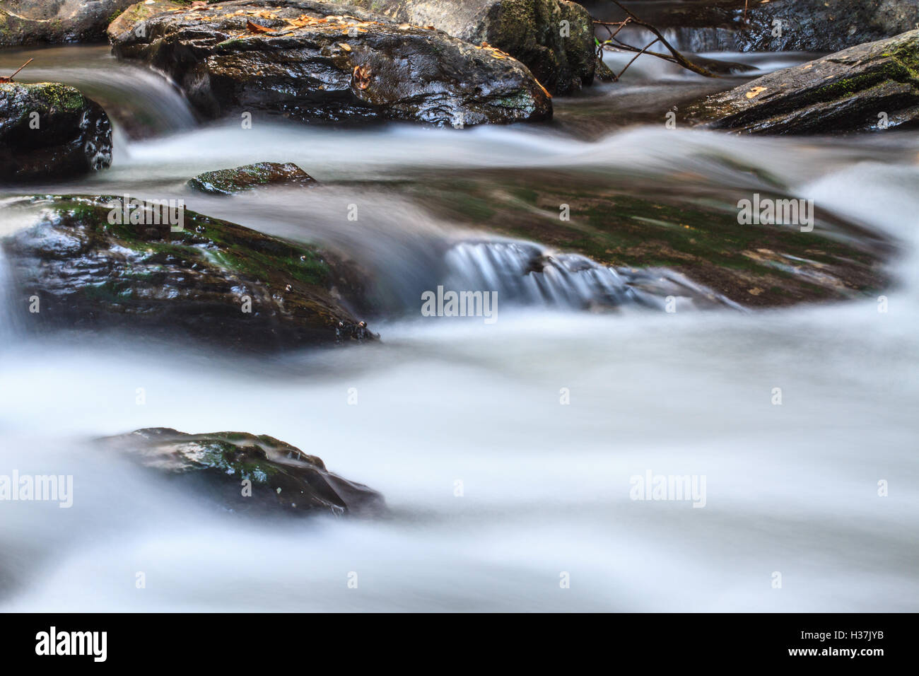 rainforest waterfall and rocks covered with moss Stock Photo - Alamy