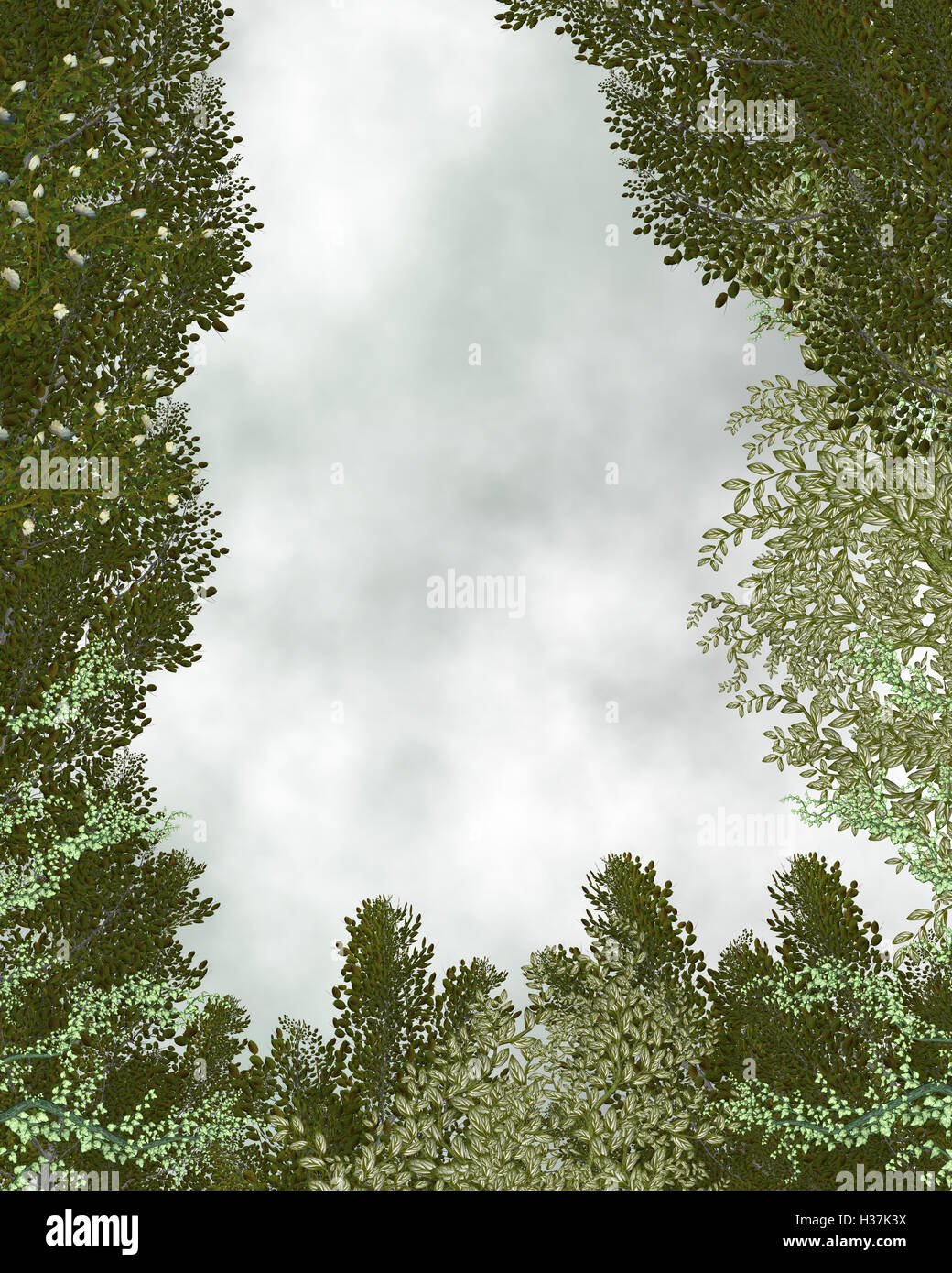 Outdoor Forest Background Stock Photo - Alamy