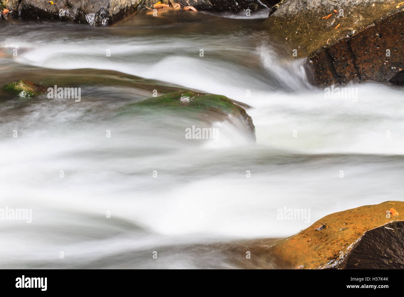 rainforest waterfall and rocks covered with moss Stock Photo - Alamy