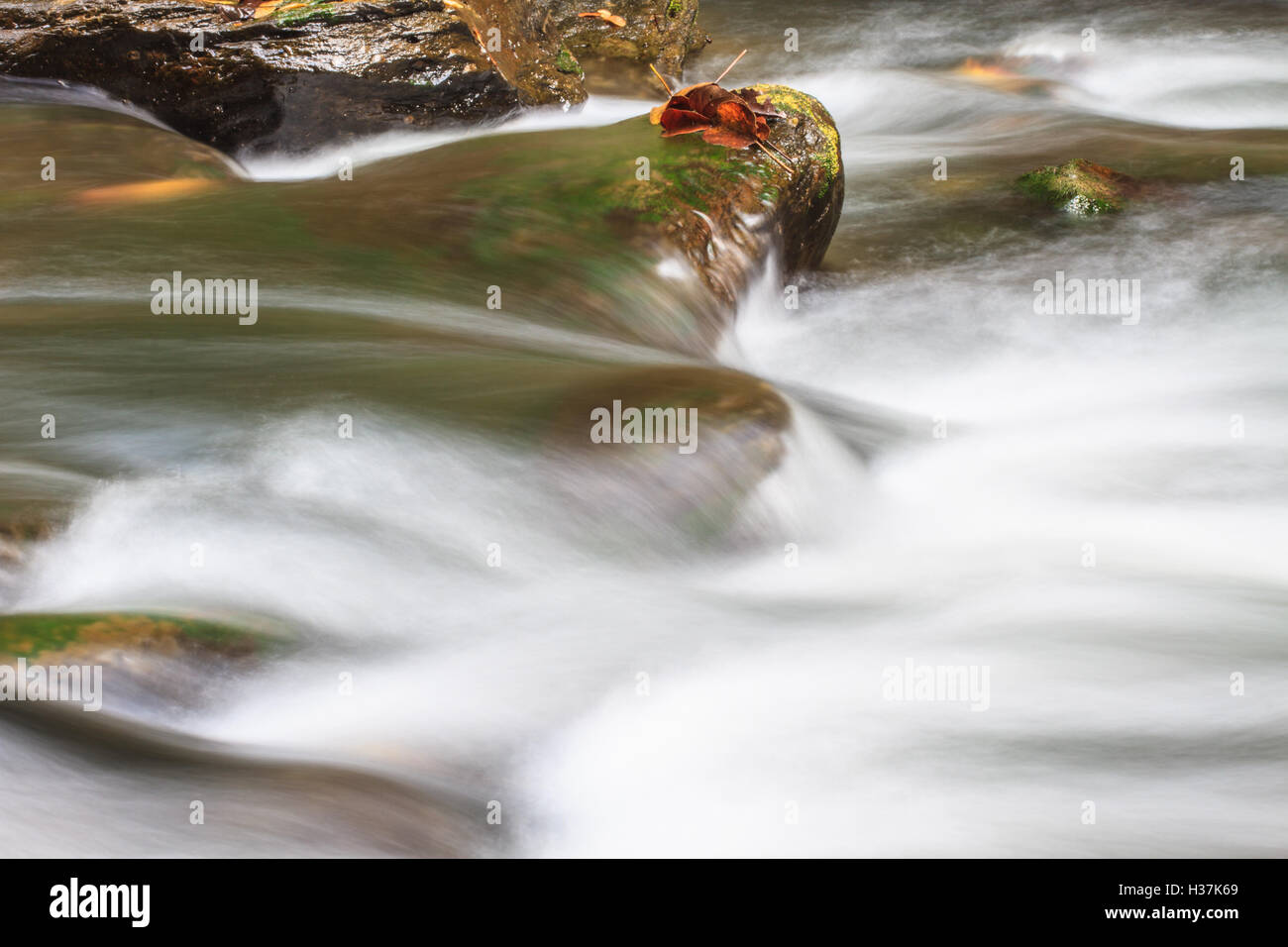 rainforest waterfall and rocks covered with moss Stock Photo - Alamy