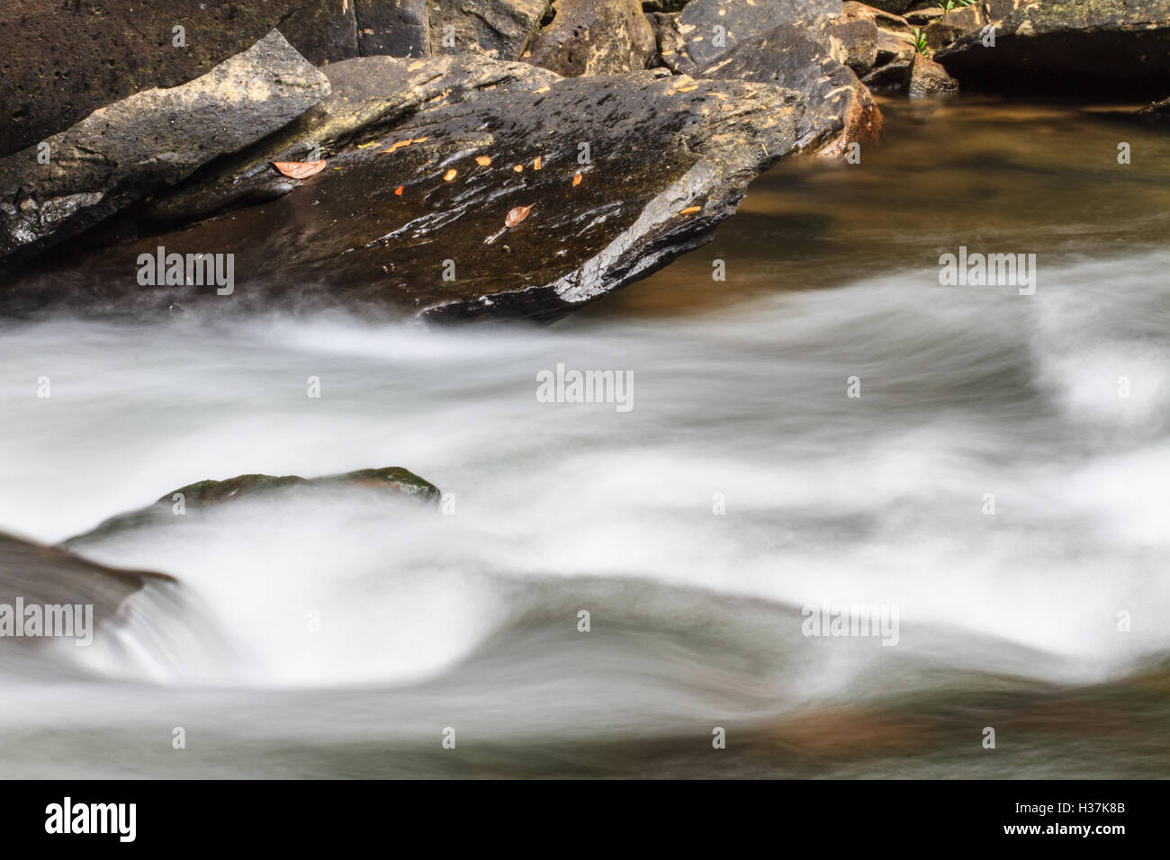 rainforest waterfall and rocks covered with moss Stock Photo - Alamy