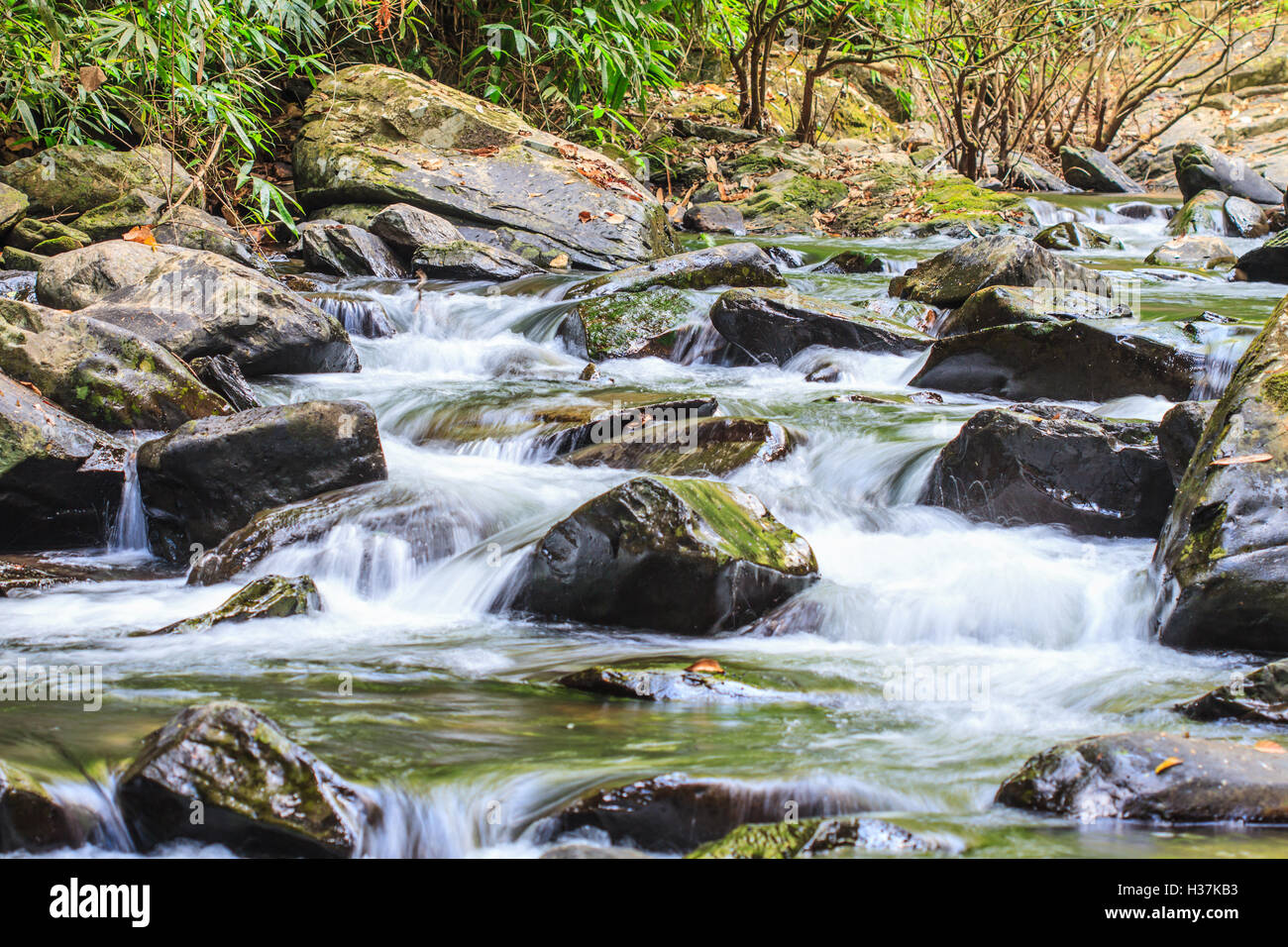 rainforest waterfall and rocks covered with moss Stock Photo - Alamy