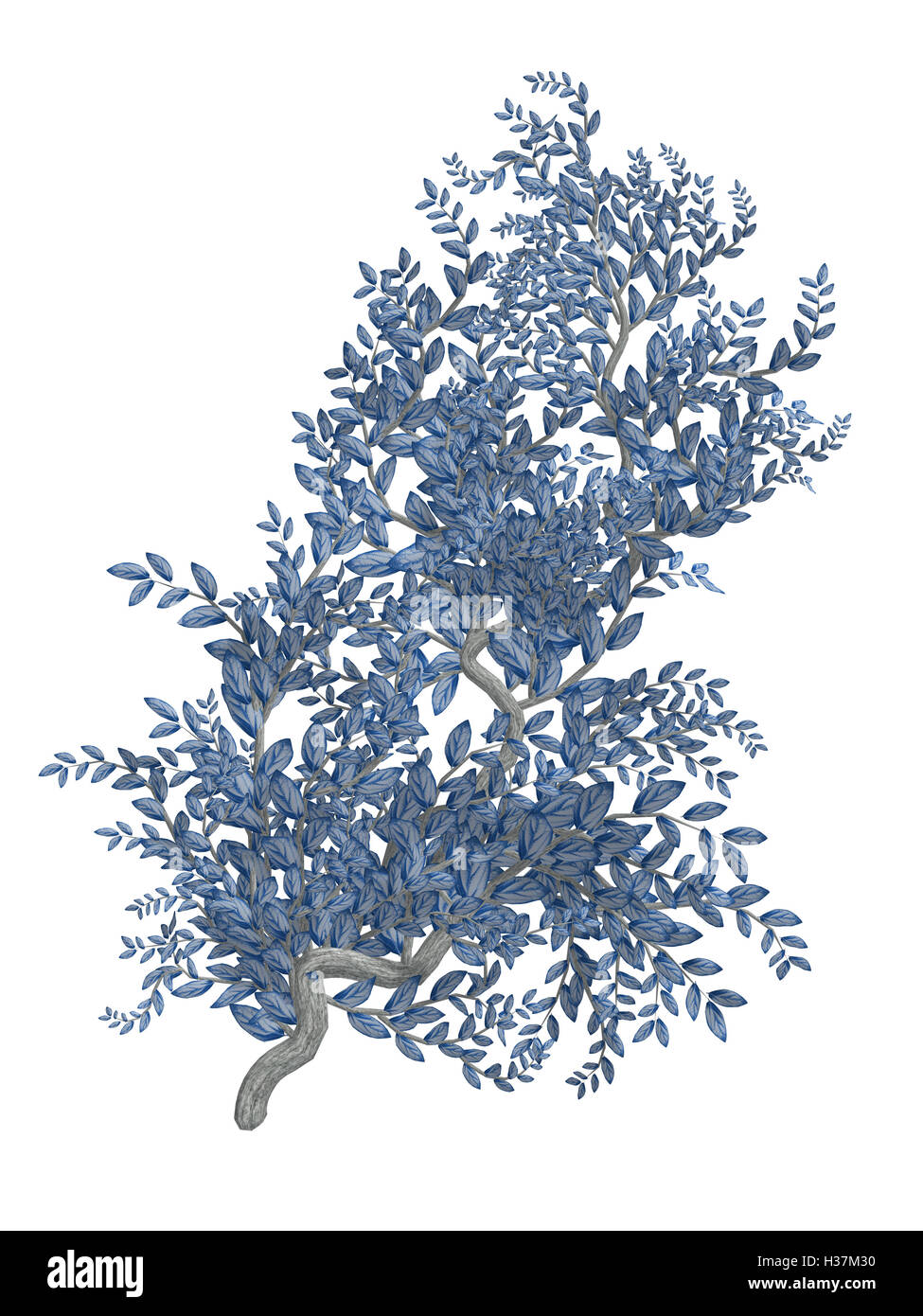 Blue bark Cut Out Stock Images & Pictures - Alamy