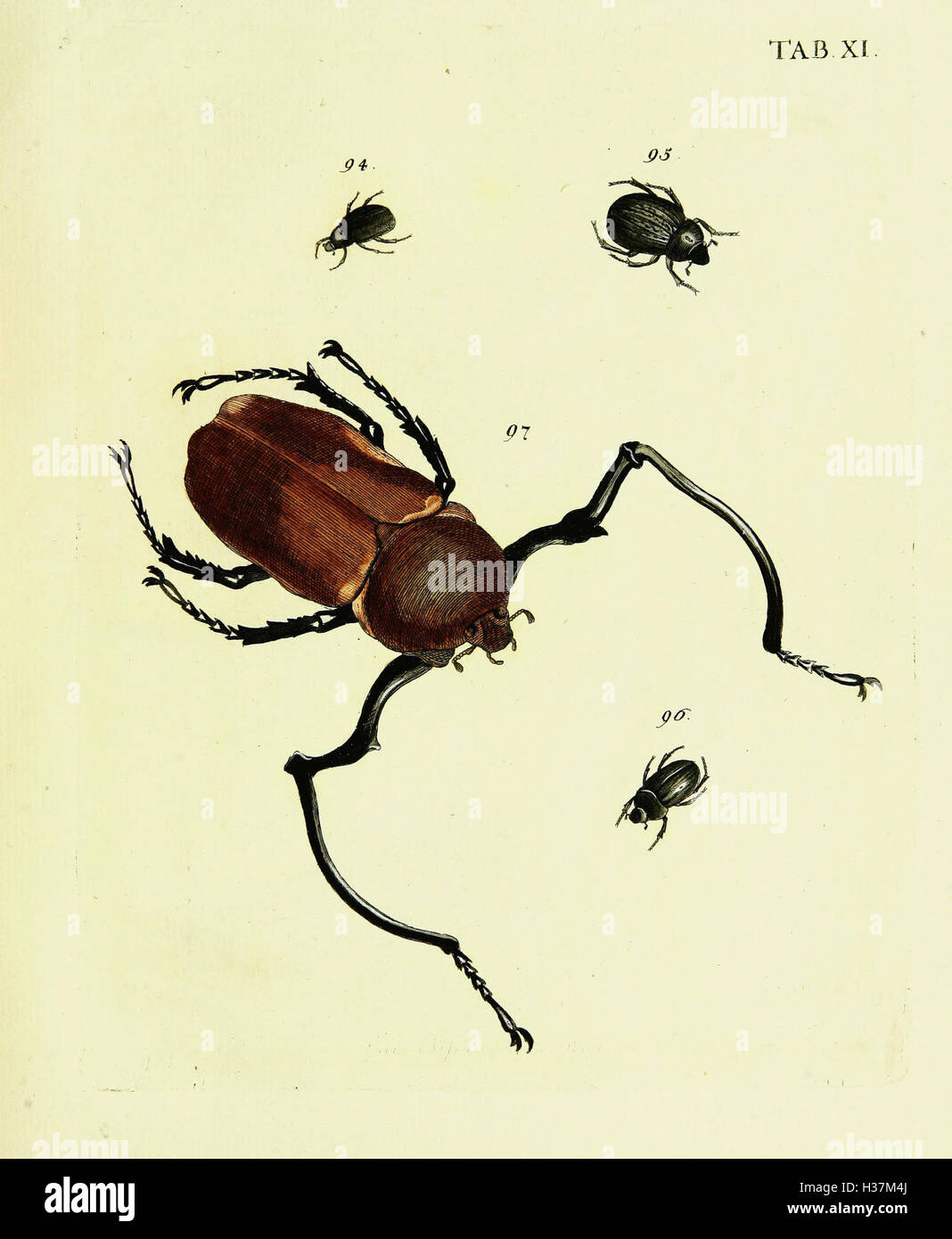 This work presents detailed descriptions and illustrations of hard ...