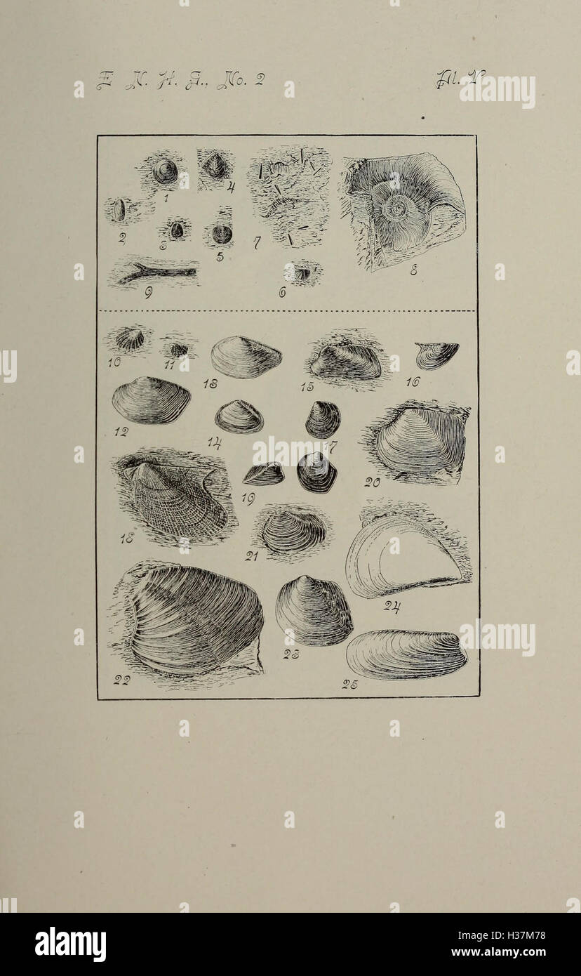 This work provides a detailed guide to the upper Devonian period of ...