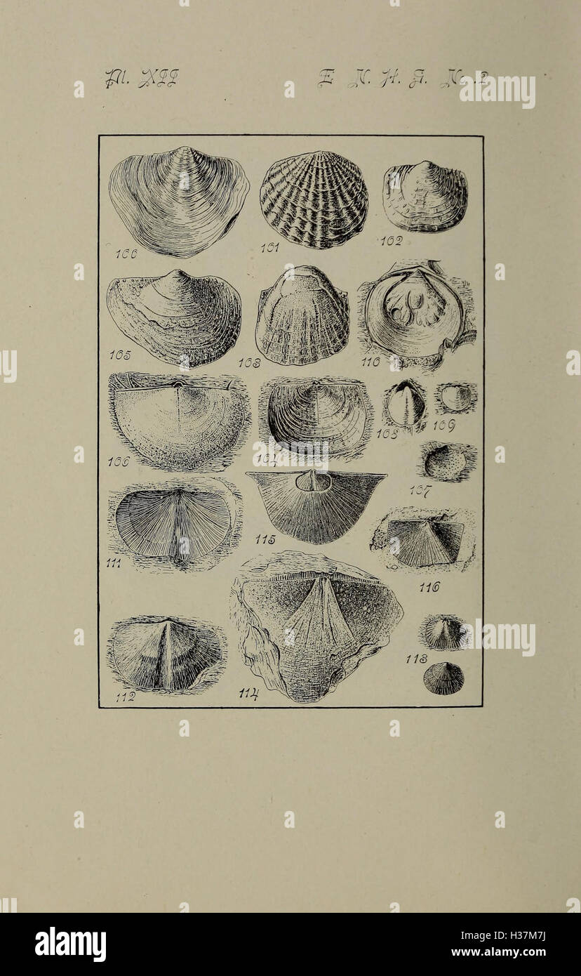 This page offers an overview of the Upper Devonian period in southern ...