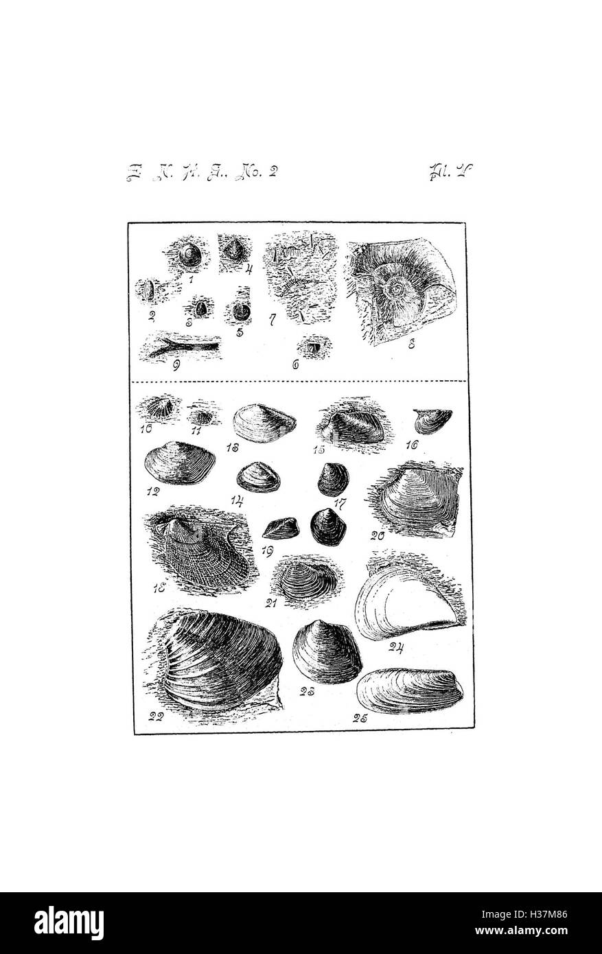 This page provides a detailed guide to the fossil and rock formations ...