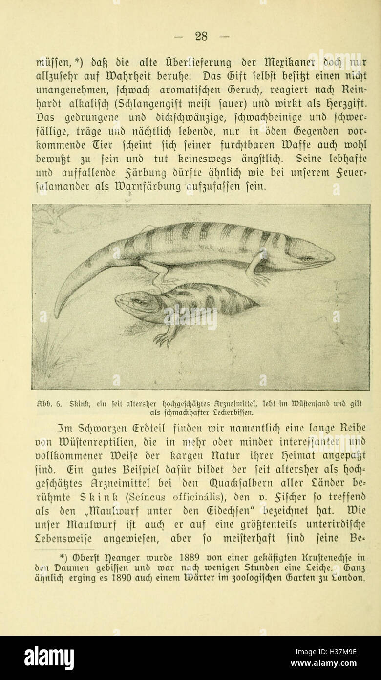 This German work explores the amphibians and reptiles from foreign ...