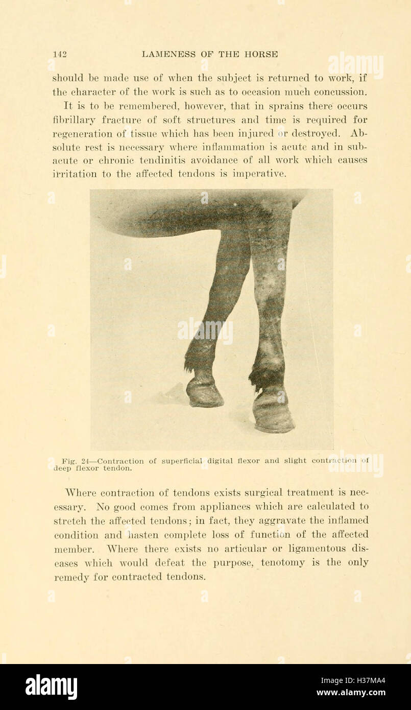 This work addresses the causes, diagnosis, and treatment of lameness in ...