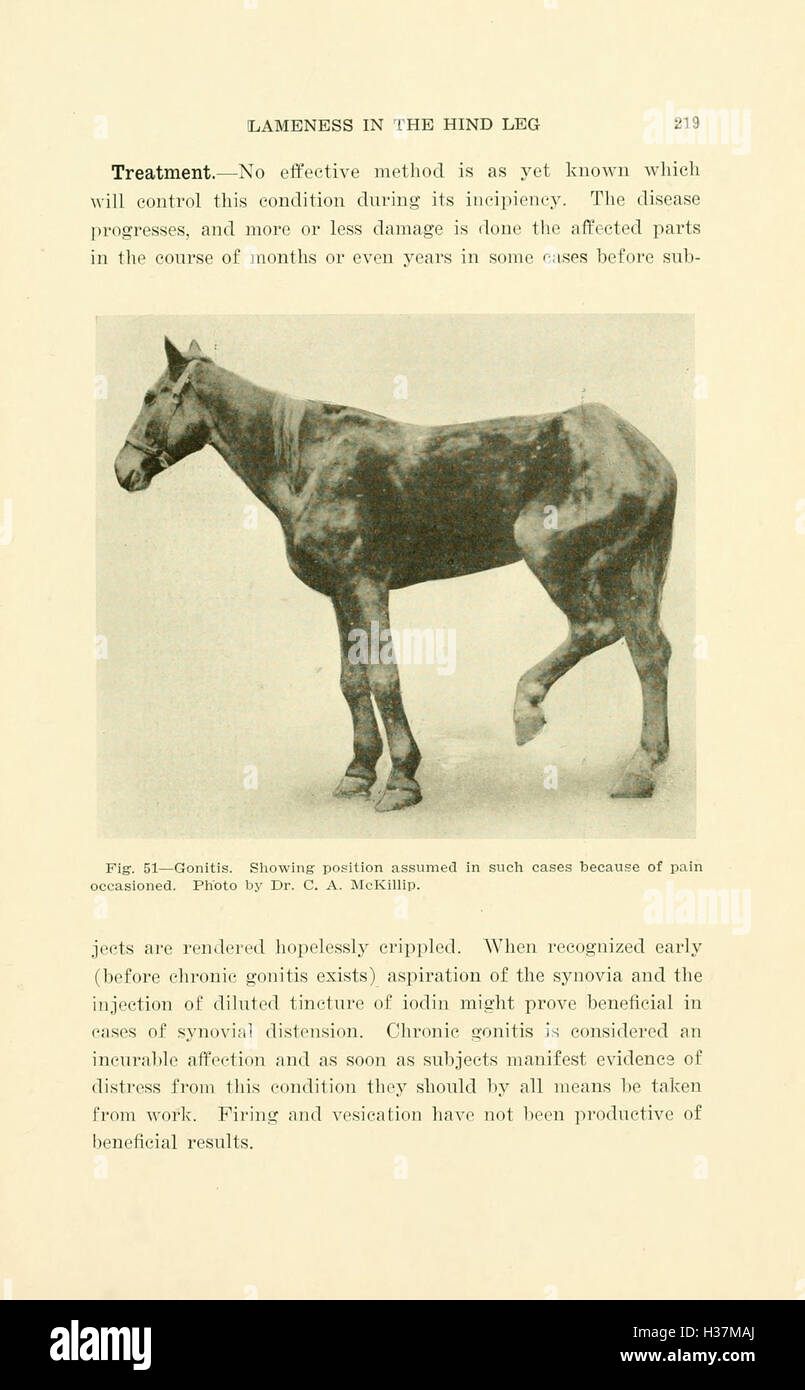 This work addresses the causes and treatment of lameness in horses. It ...
