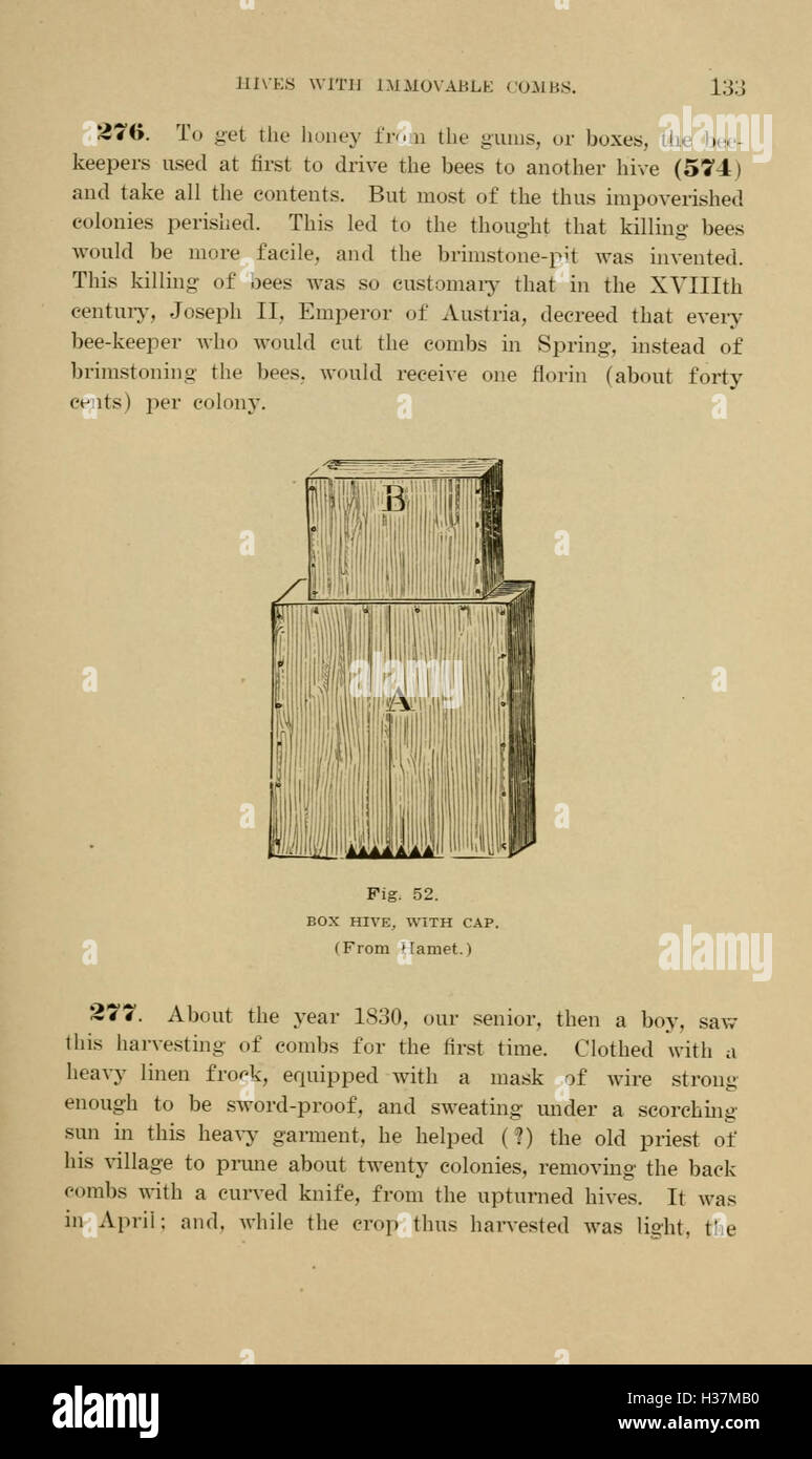 Langstroth's guide explores the management of honey bee hives ...