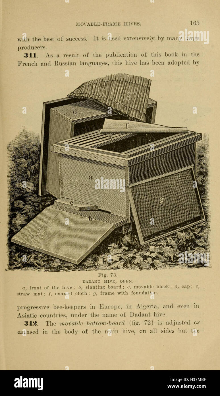 Langstroth’s work on the hive and honey bee presents his groundbreaking ...