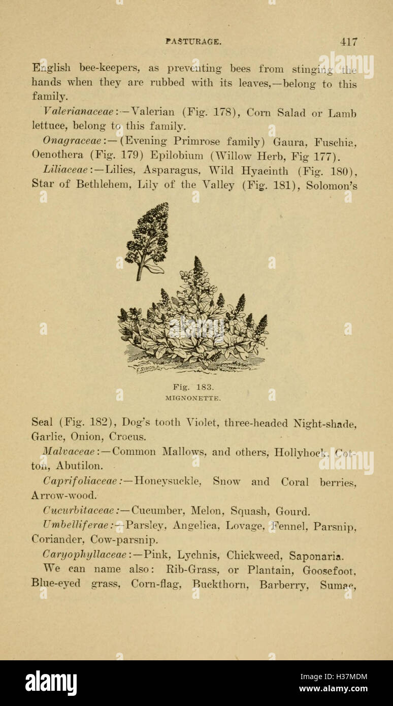 Modern beehive apiary langstroth hi-res stock photography and images ...