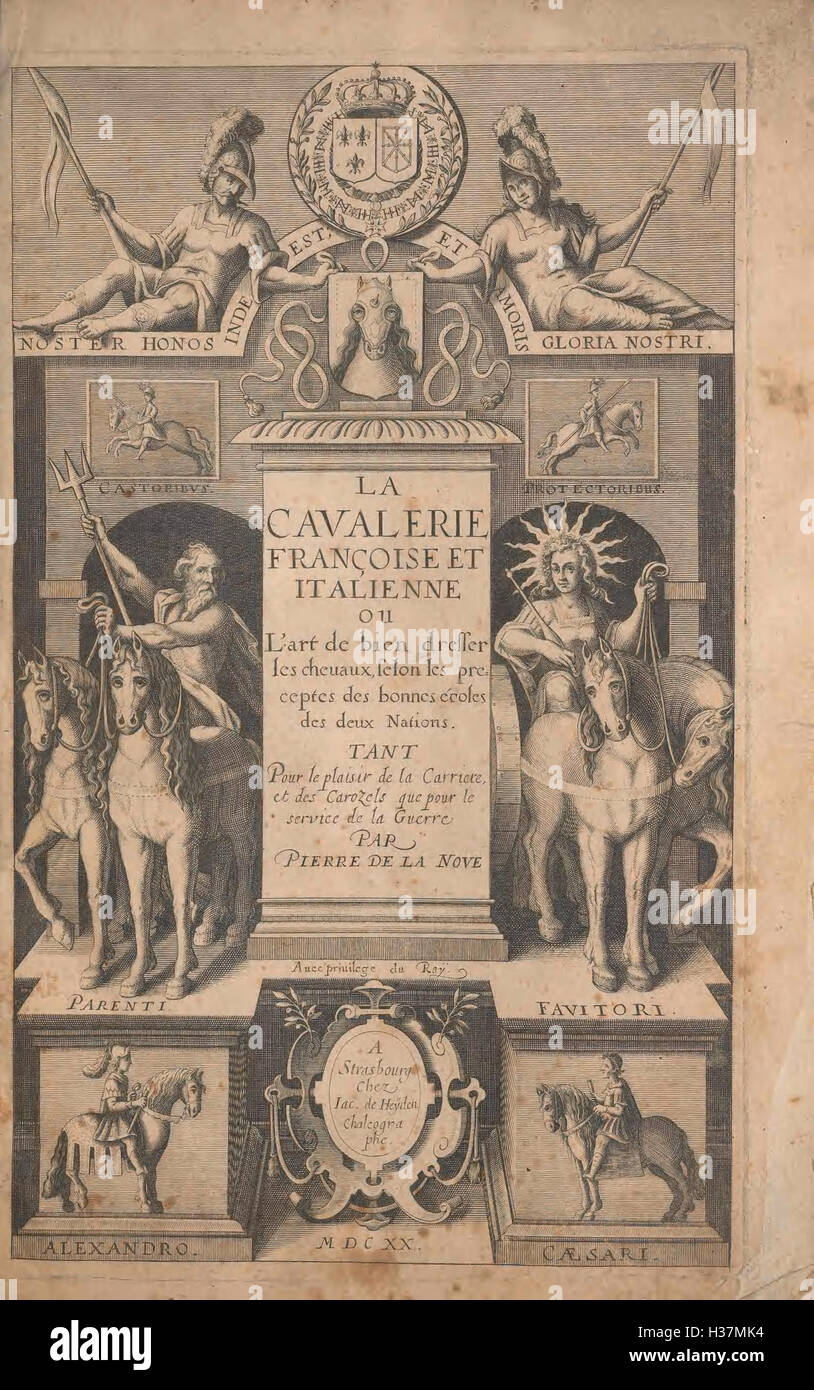 This page outlines the French and Italian approaches to cavalry ...