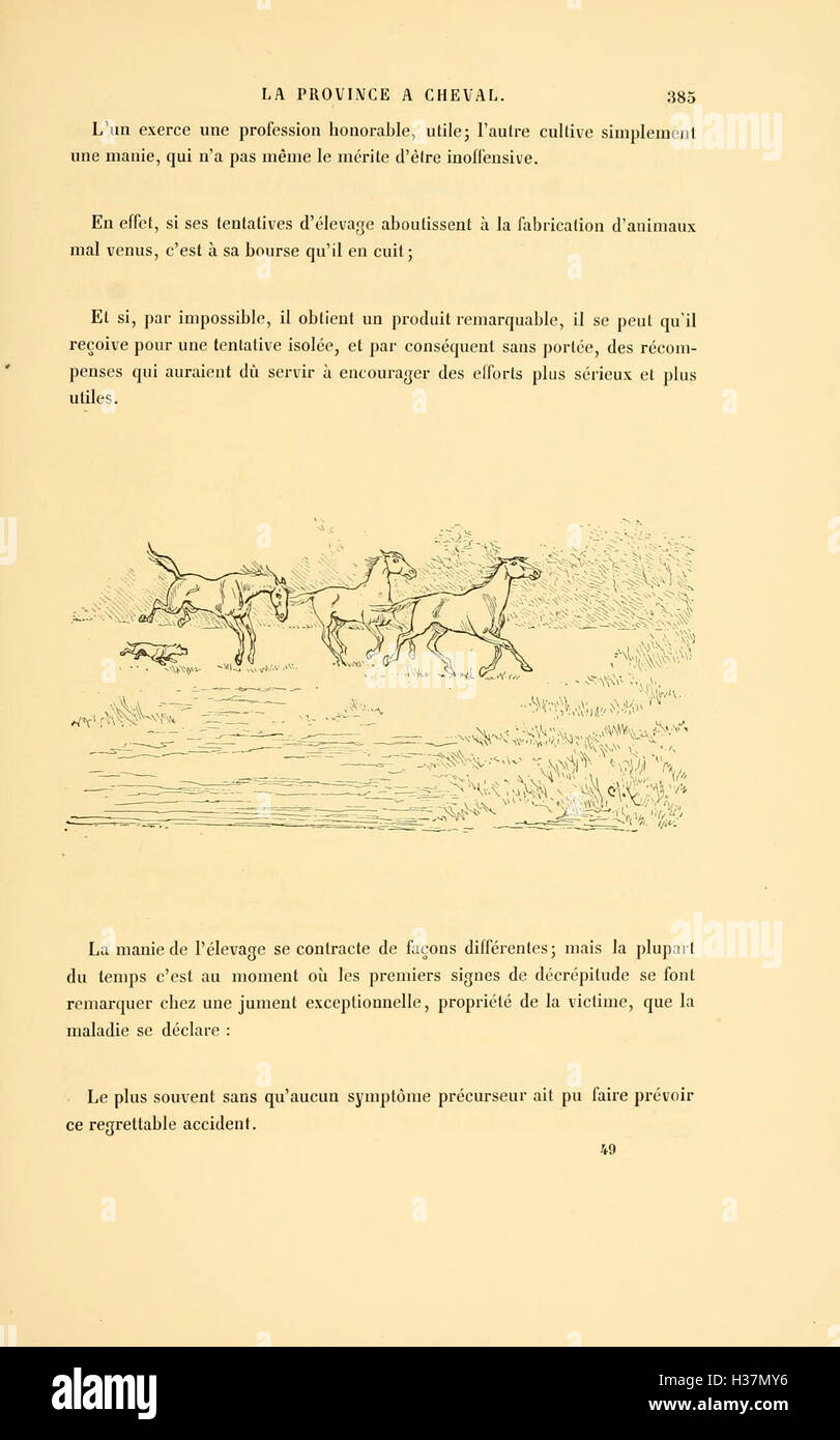 This text describes the role of horses in the historical development of ...