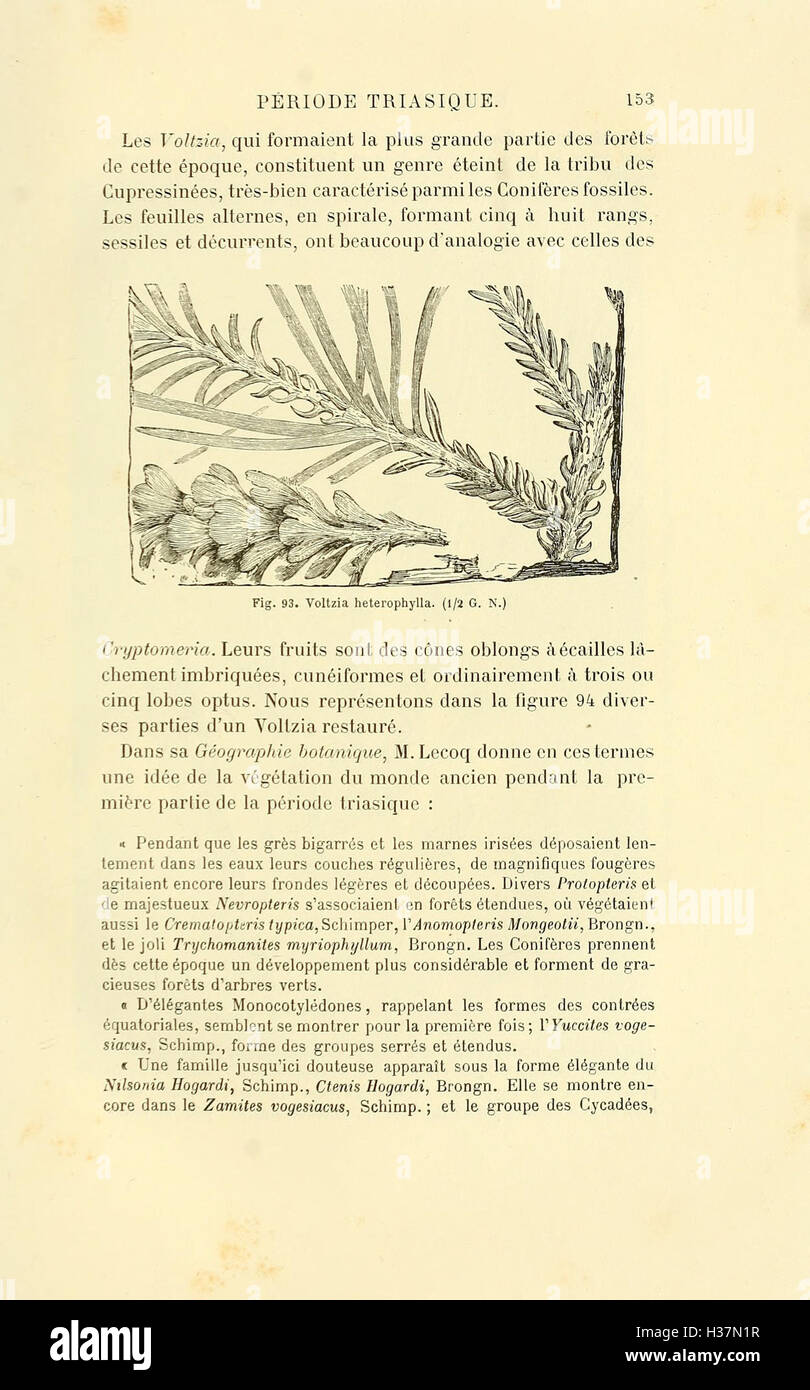 *La terre avant le déluge* discusses the Earth before the biblical ...