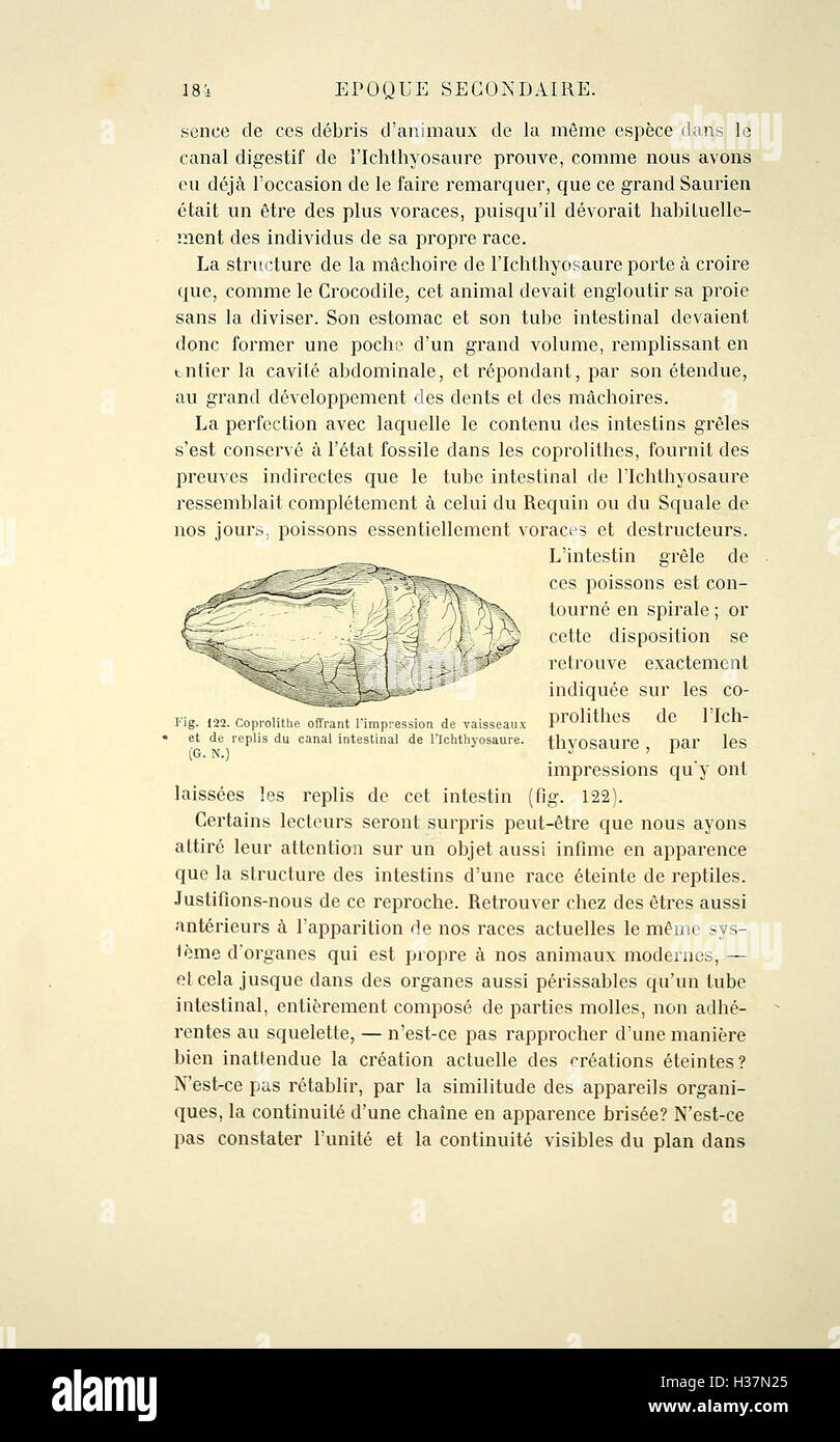 *La terre avant le déluge* discusses the Earth before the biblical ...