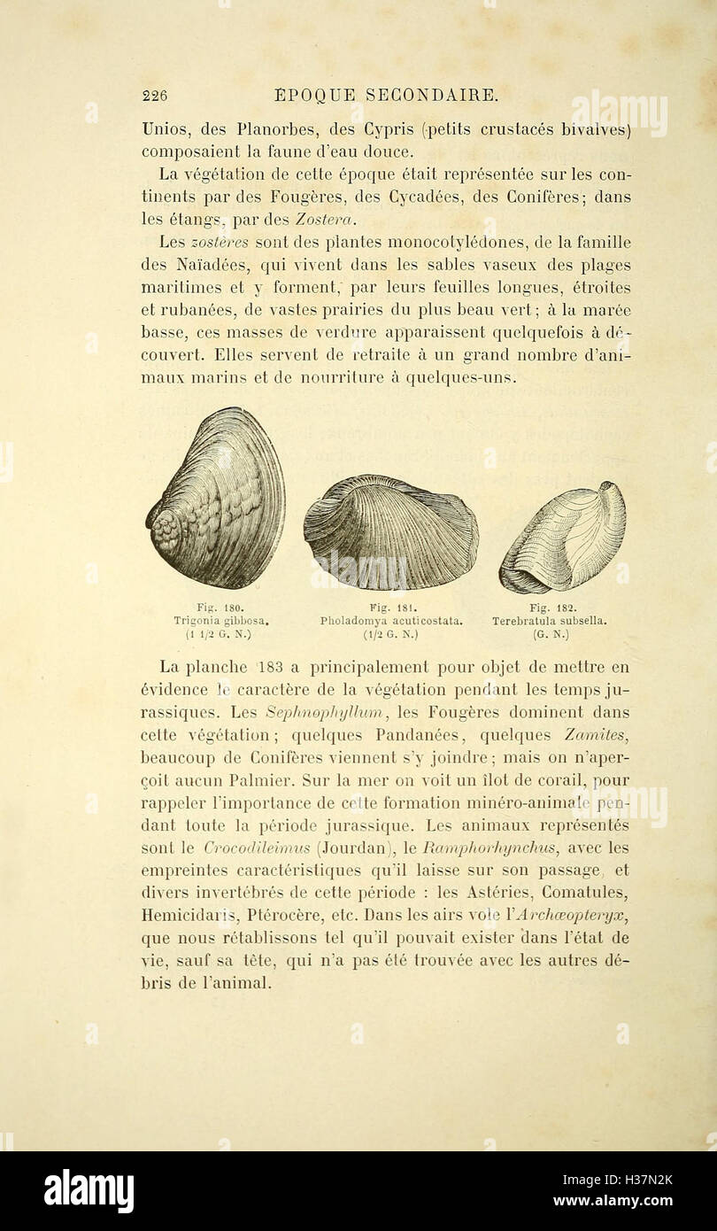 This French work, 'The Earth Before the Flood,' explores geological and ...