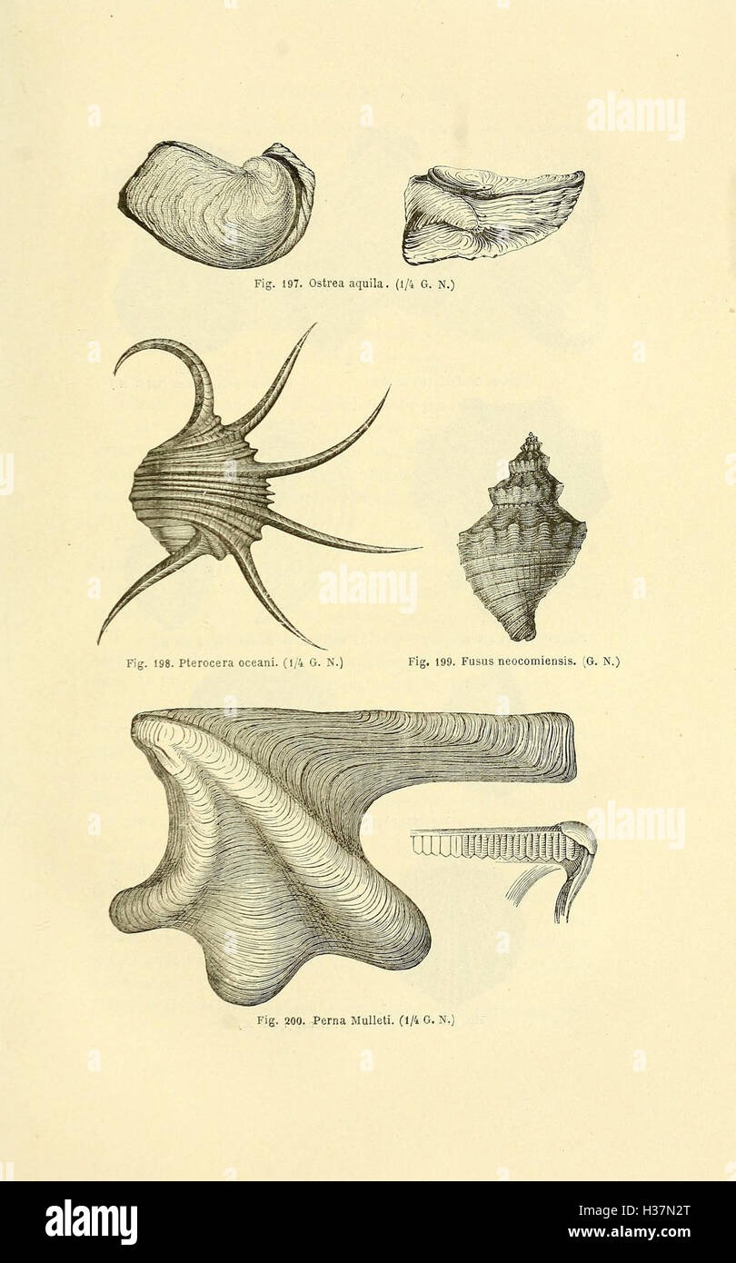 La Terre Avant le Déluge discusses the Earth before the biblical flood ...