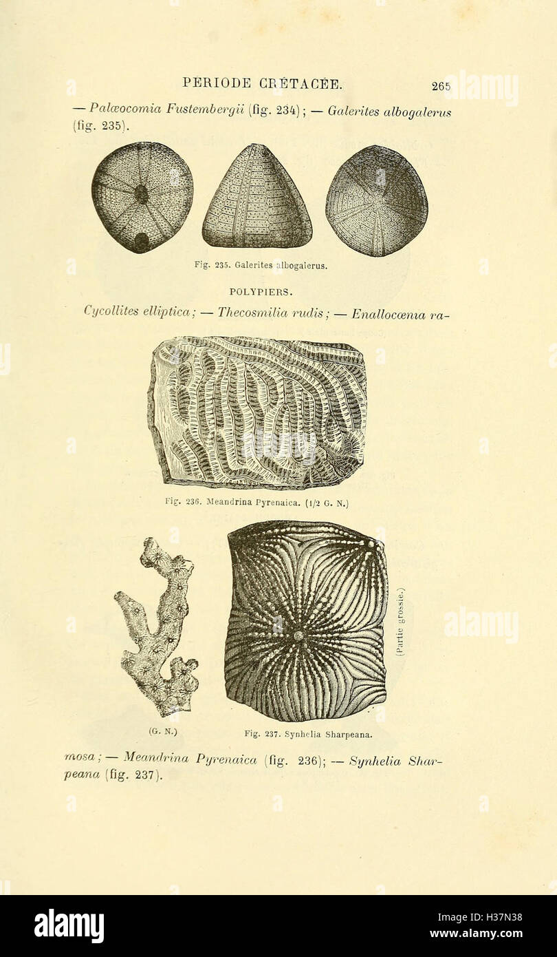 This French work, 'The Earth Before the Flood,' explores geological and ...