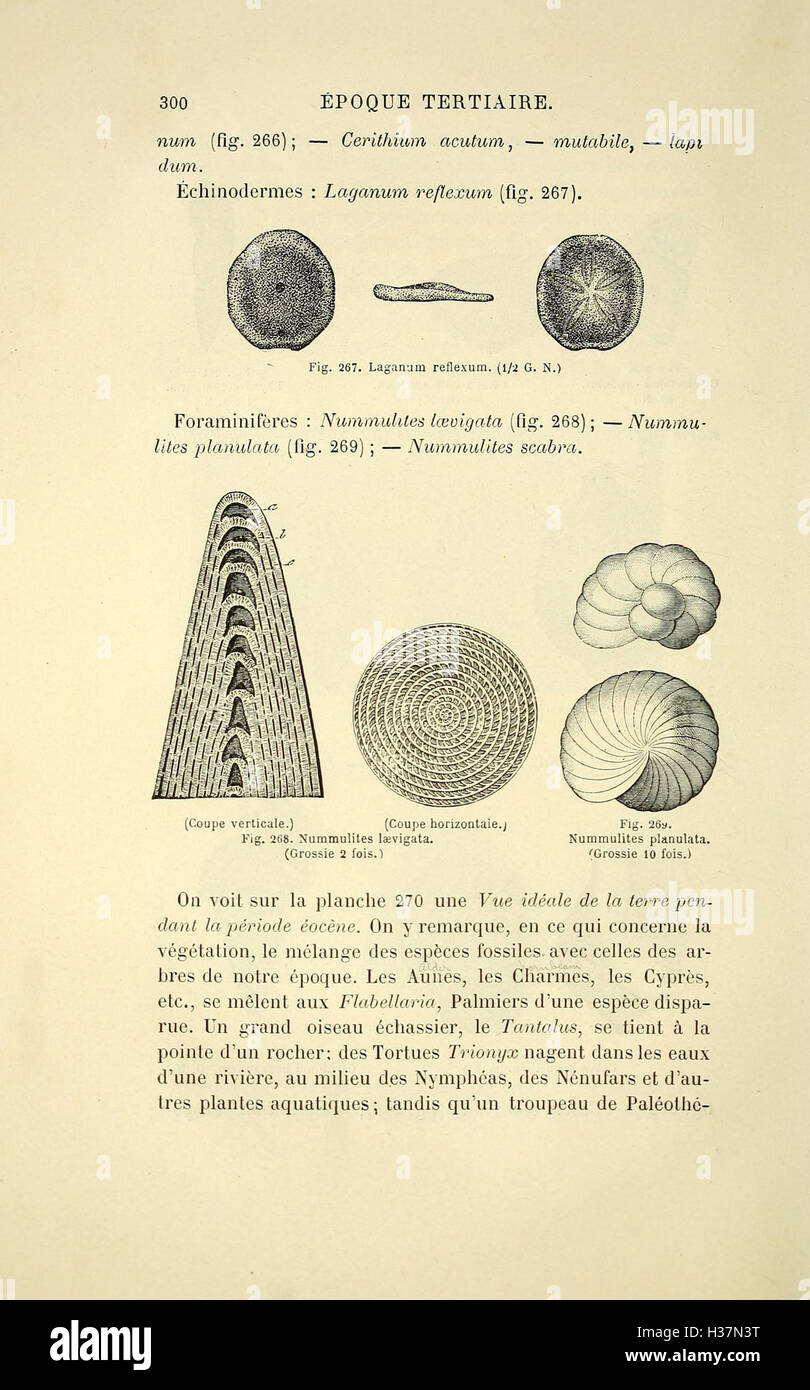 This French work, translated as 'The Earth Before the Flood', explores ...
