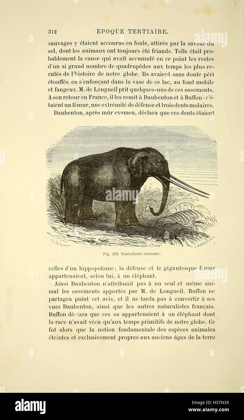 'La terre avant le déluge' explores the Earth’s geology and natural ...