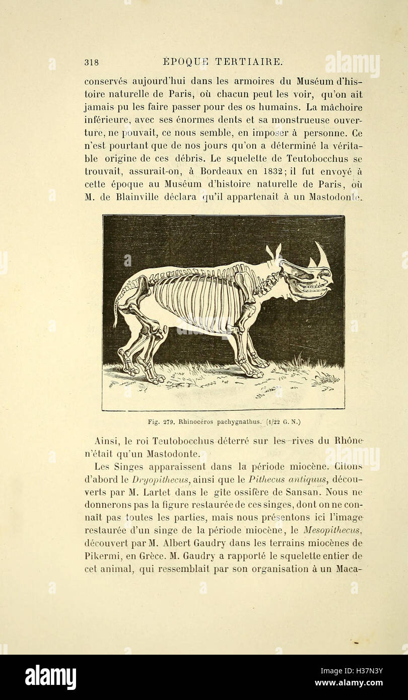 'La terre avant le déluge' examines the Earth before the biblical flood ...