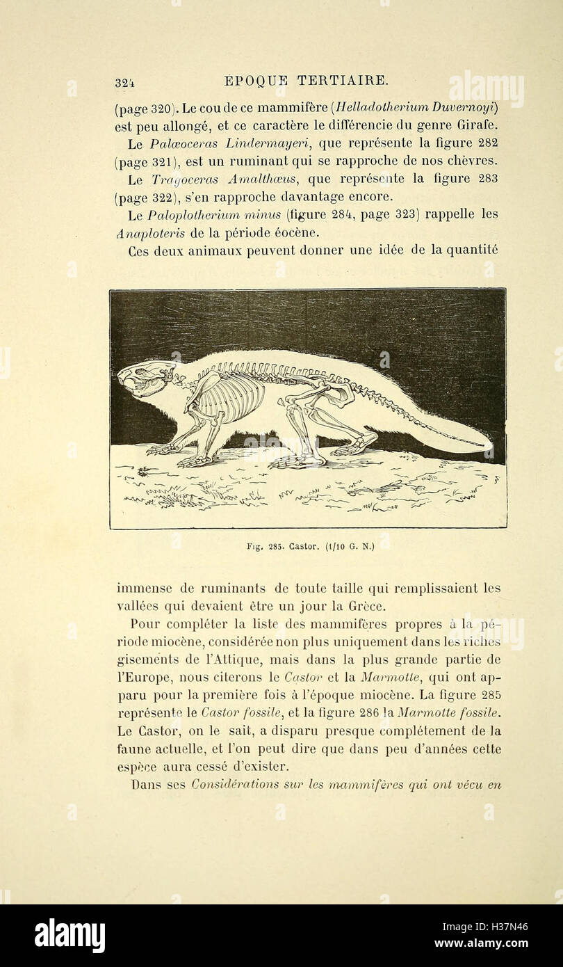 A work describing the Earth before the biblical flood, focusing on ...