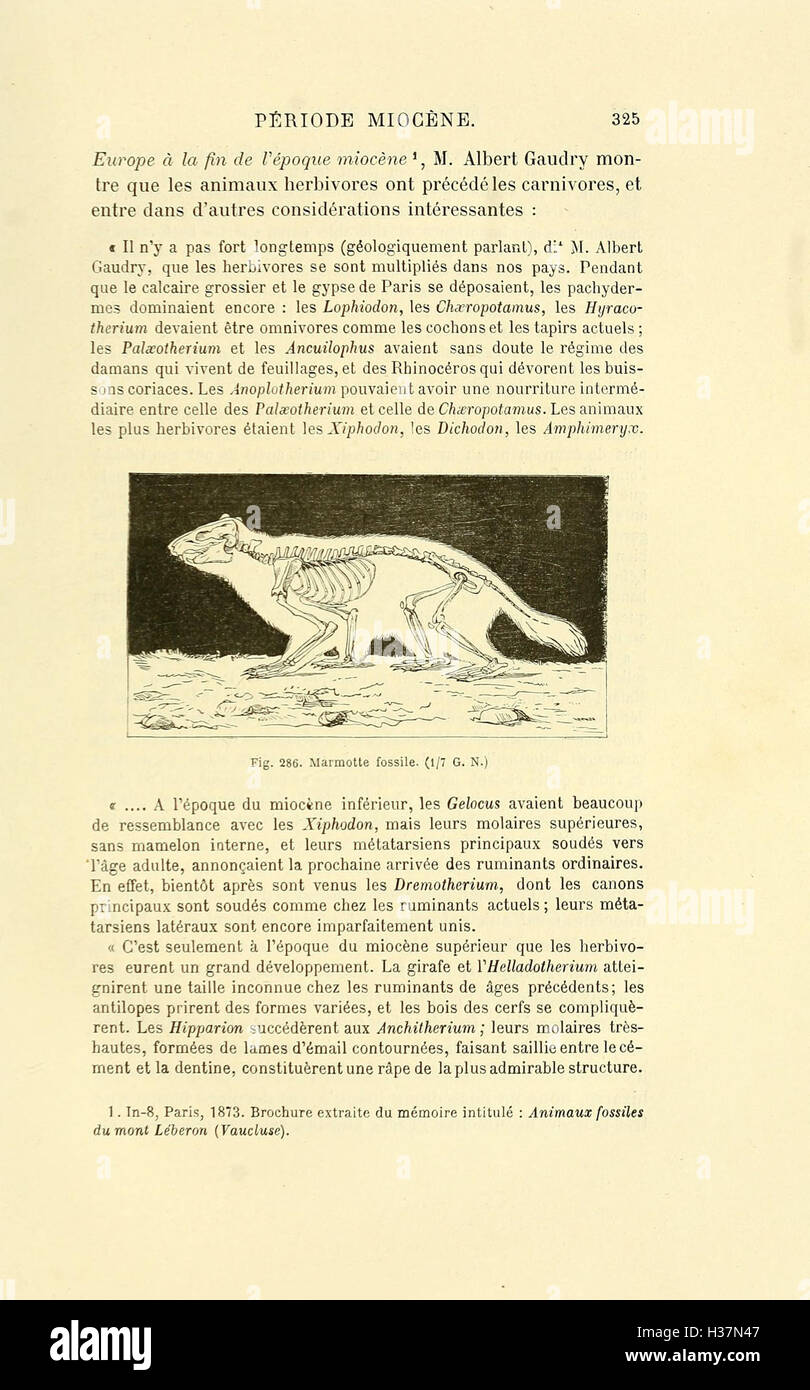 A depiction of Earth before the Great Flood, exploring geological and ...