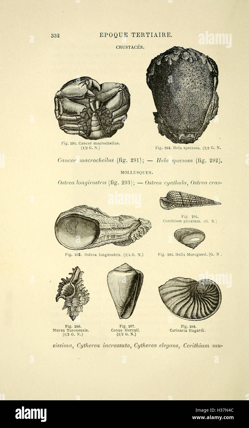 A work exploring the Earth’s history before the biblical flood ...