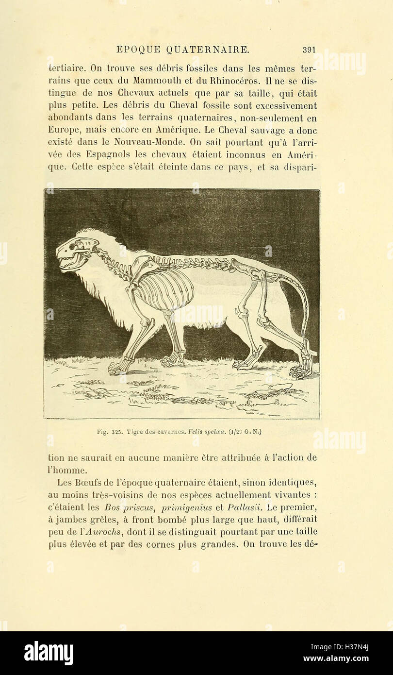 This French text delves into the Earth’s pre-flood history, exploring ...