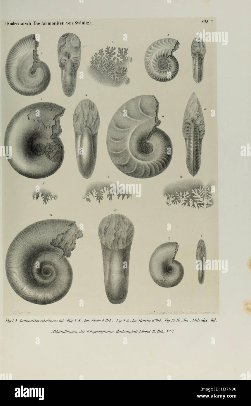 This page contains geological studies and reports published by the ...